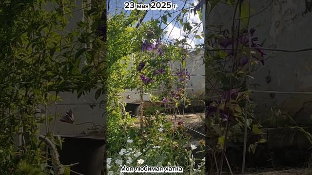 Любимая хатка 23.05.25