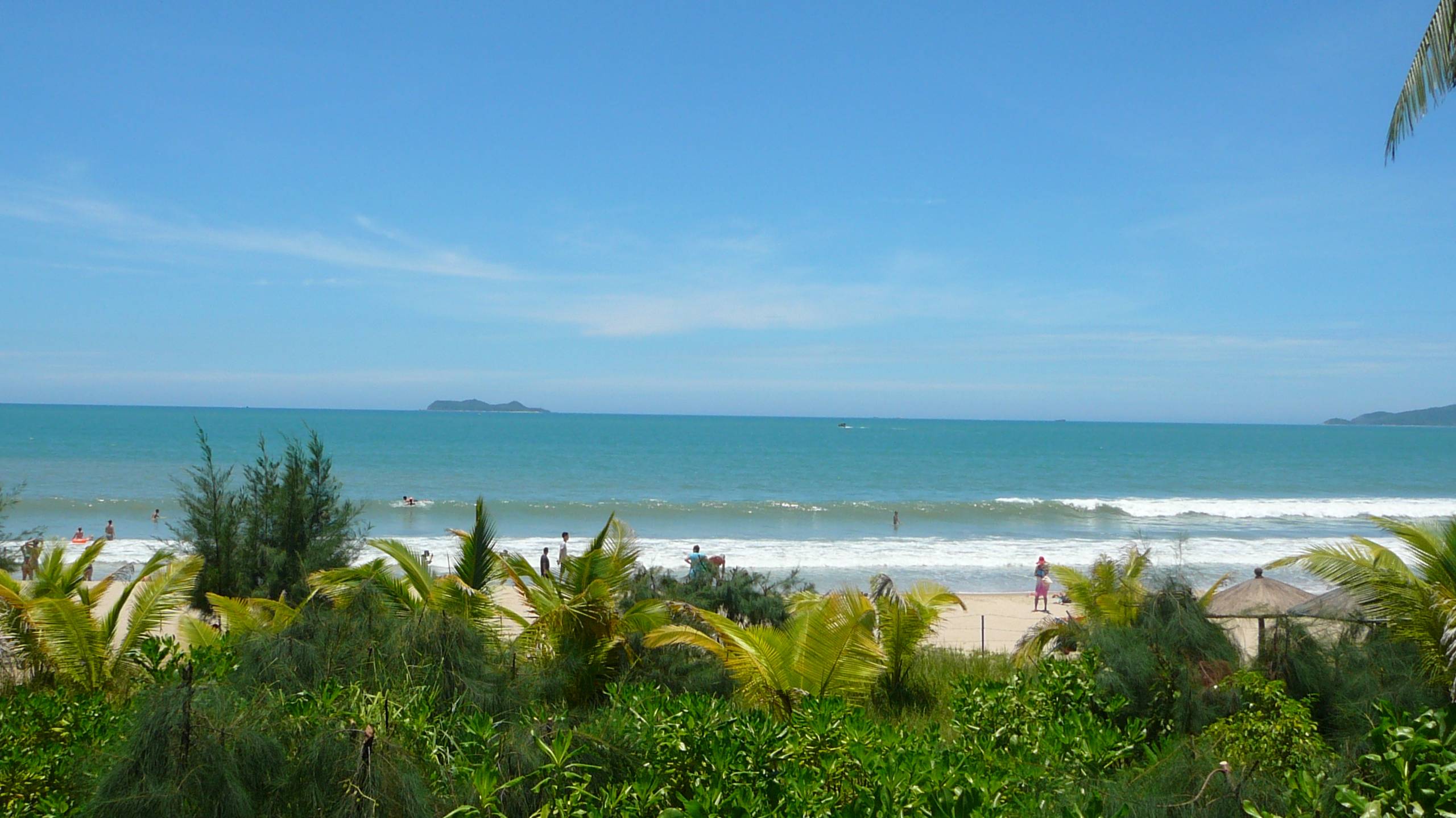 Острова Тихого океана. Лающие лягушки и тропическая природа