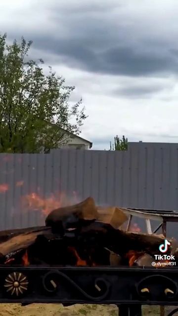 Морской окунь на мангале