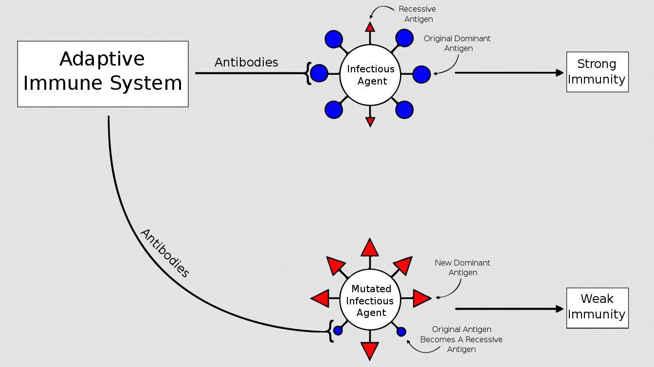 Новый ковид — ковид вакцинированных