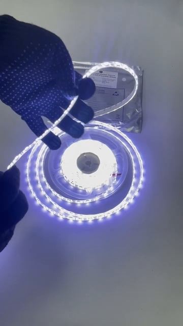 ЛЕНТА SMD5050-300-12 IP65