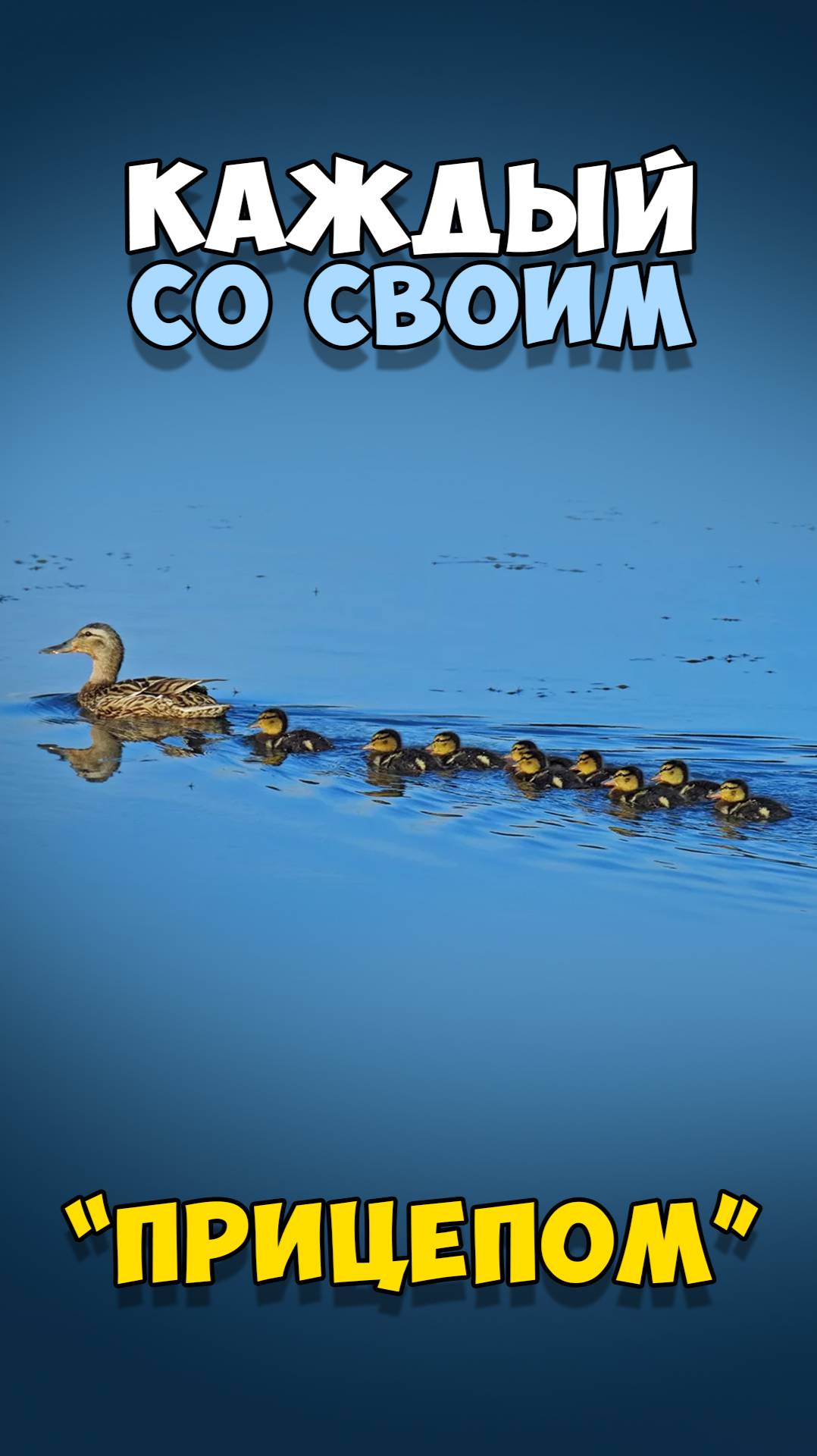 Каждый со своим "прицепом" 😀