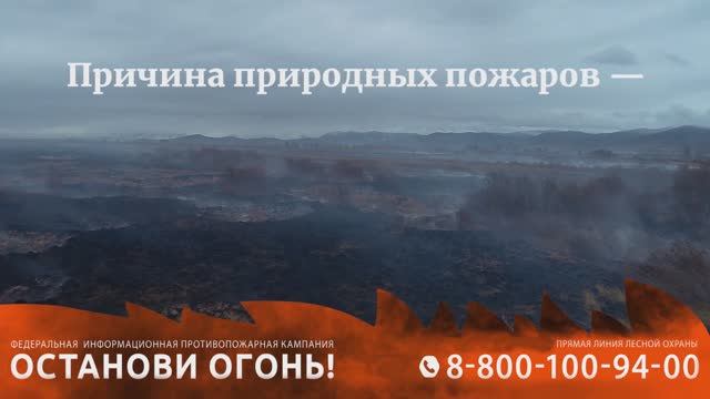 Останови огонь! Причина лесных пожаров