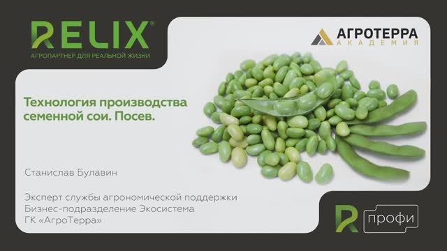 Технология производства семенной сои. Посев.