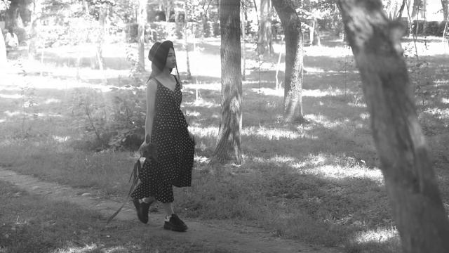 13333479_1920_1080_25fps