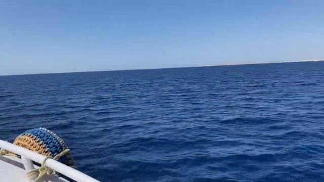Экскурсия в Египте на яхте заповедник Рас-Мохамед 23.05.2025 новое 2