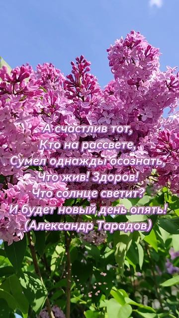 Кто счастлив? #мудрвыевыражнния