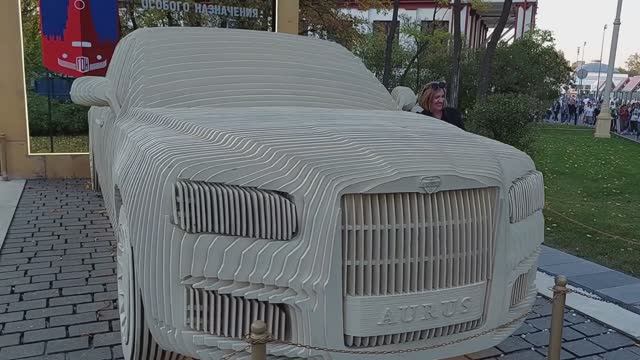 Автомобиль из дерева, поражающий воображение!