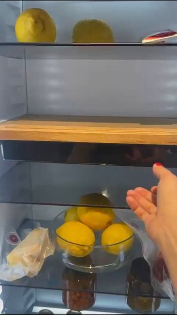 Новая модель Холодильник BORA