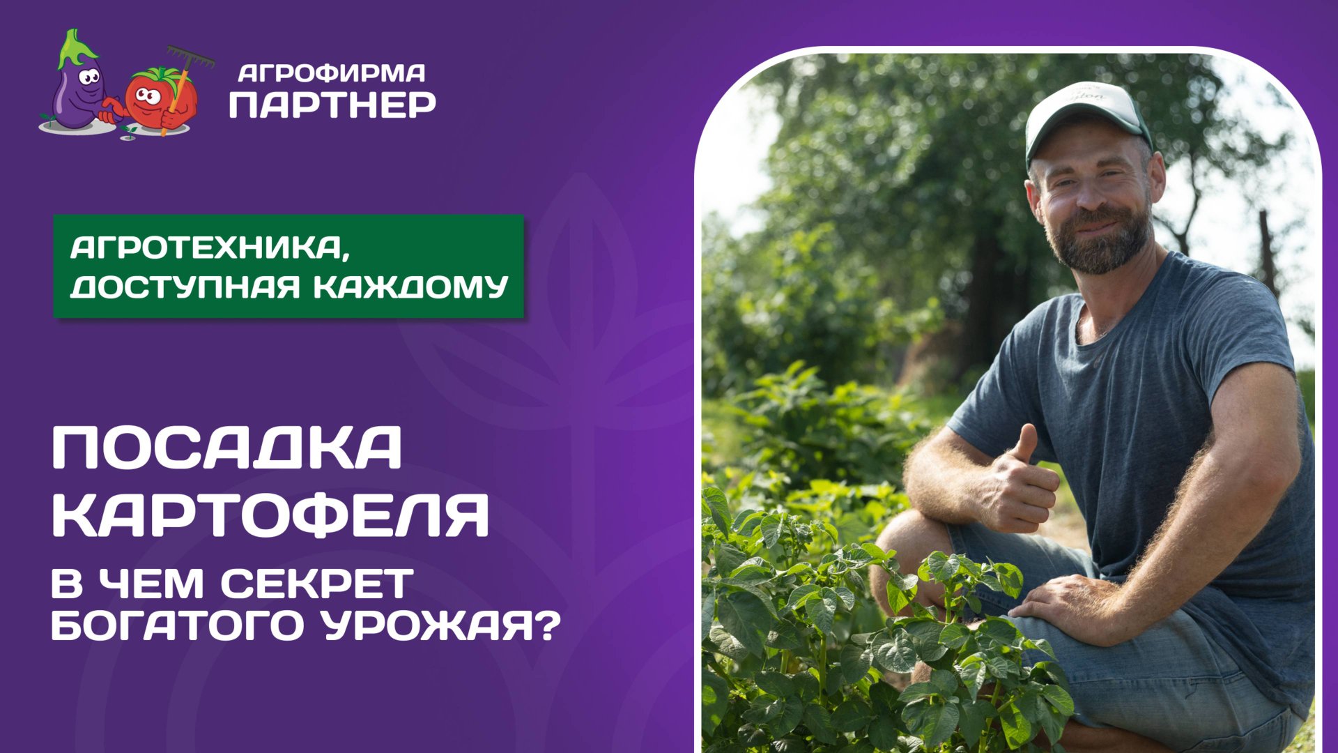 КАК ПРАВИЛЬНО ПОСАДИТЬ КАРТОФЕЛЬ // Все тонкости для раннего и богатого урожая