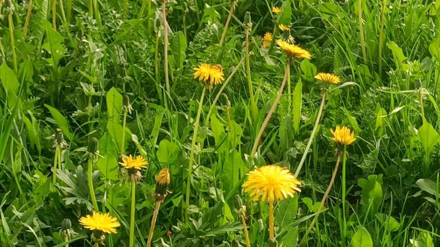 Релакс и вдохновение от природы