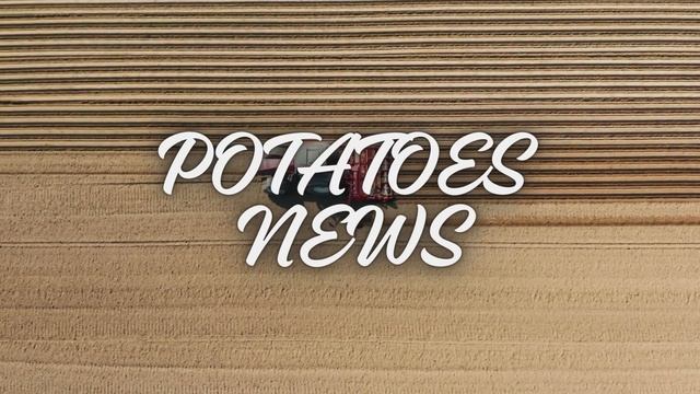 ¡Únete a los cultivadores de patatas!