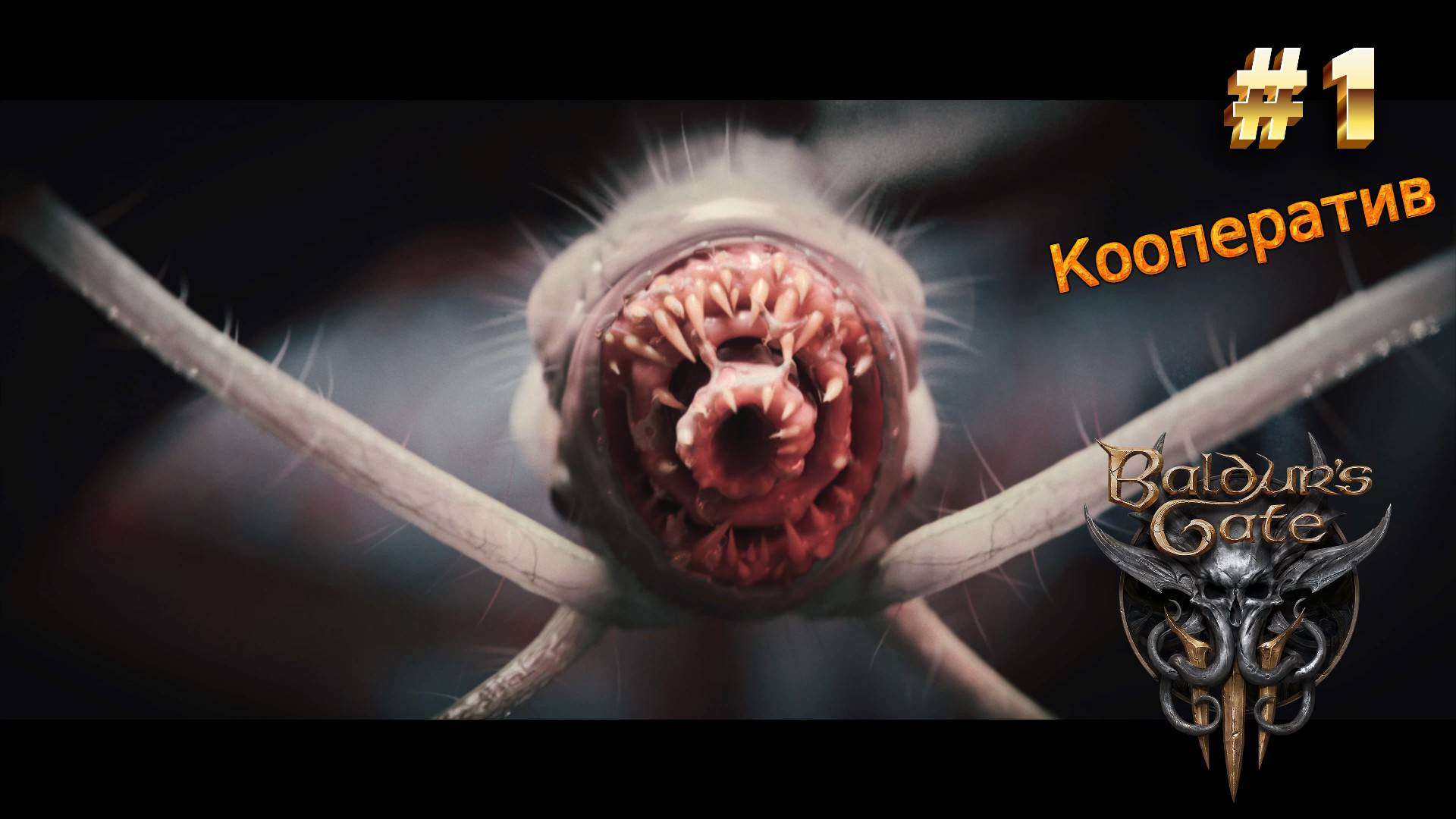 Baldurs Gate 3: Кооператив. Поржали от души)))