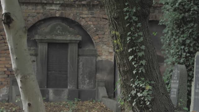 10632935-hd_3840_2160_25fps