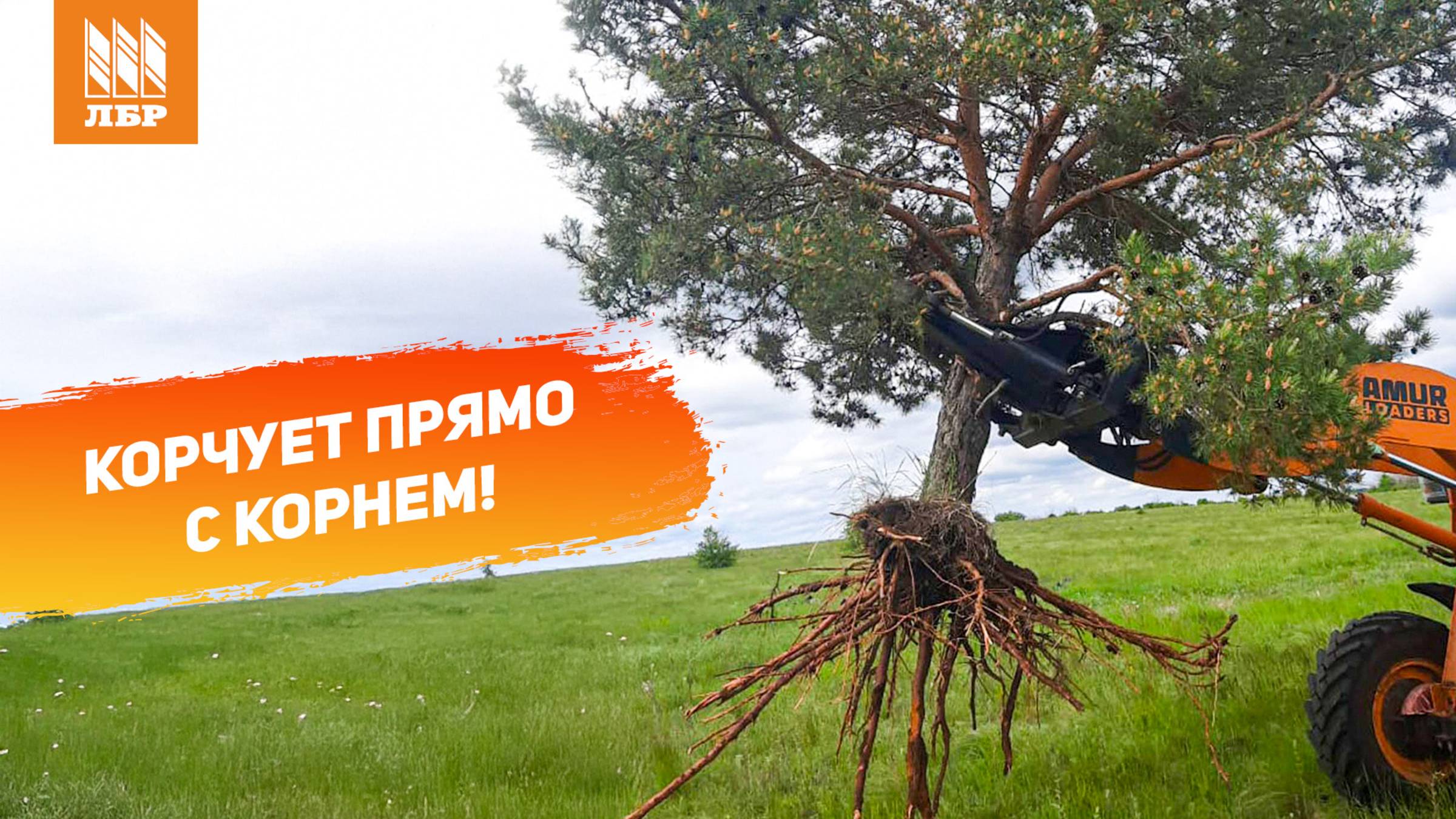 Мелиорация земель с корчевателем КНУ – эффективная расчистка участков от деревьев и кустарников!