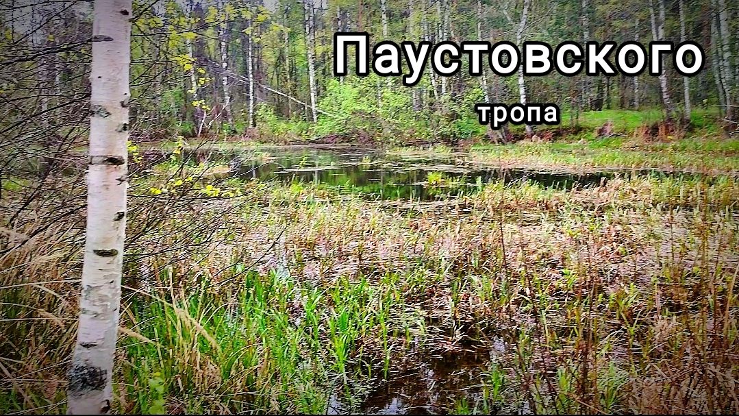 Тропа Паустовского. Часть 4
