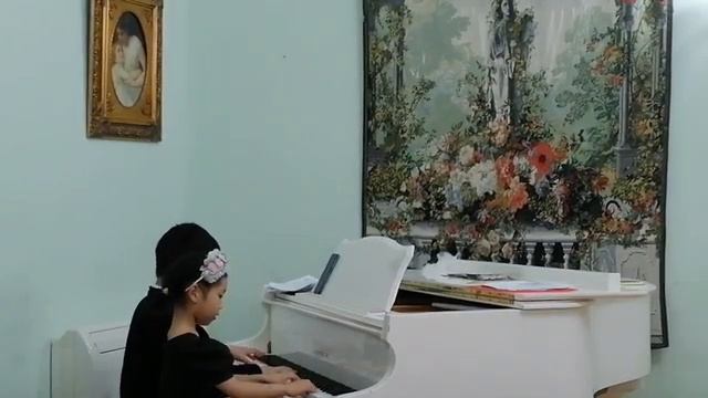 Норвежский танец и балет невылупившихся птенцов. Играют Гао и Шань Чэньсюань