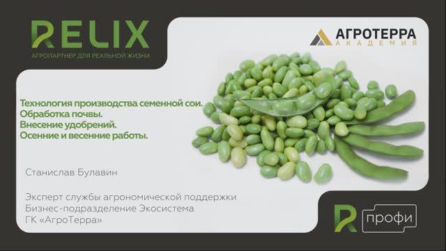 Как подготовить почву к севу семенной сои и обеспечить высокий урожай