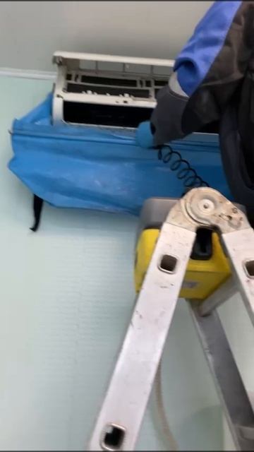 Мойка от грибка и плесени