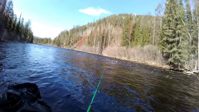 Поход в тайгу. В поисках хариуса. Сплав по горной речке. 2025.