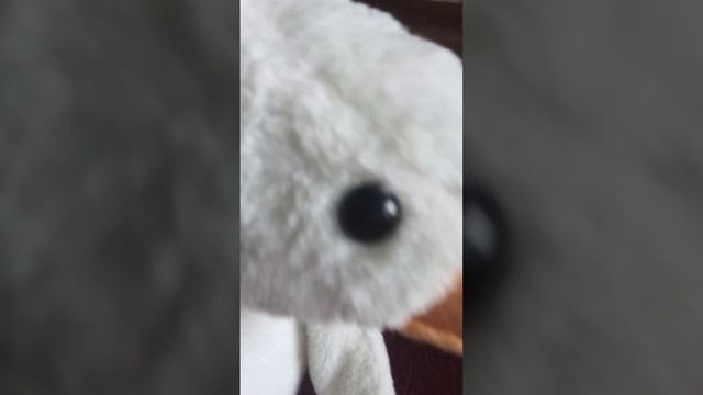 Новости канала #1