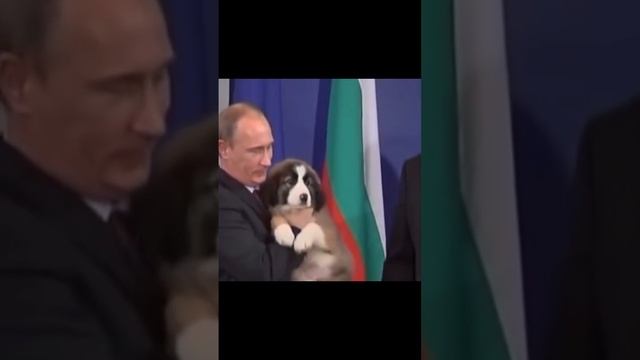 Путин с животными, милота зашкаливает