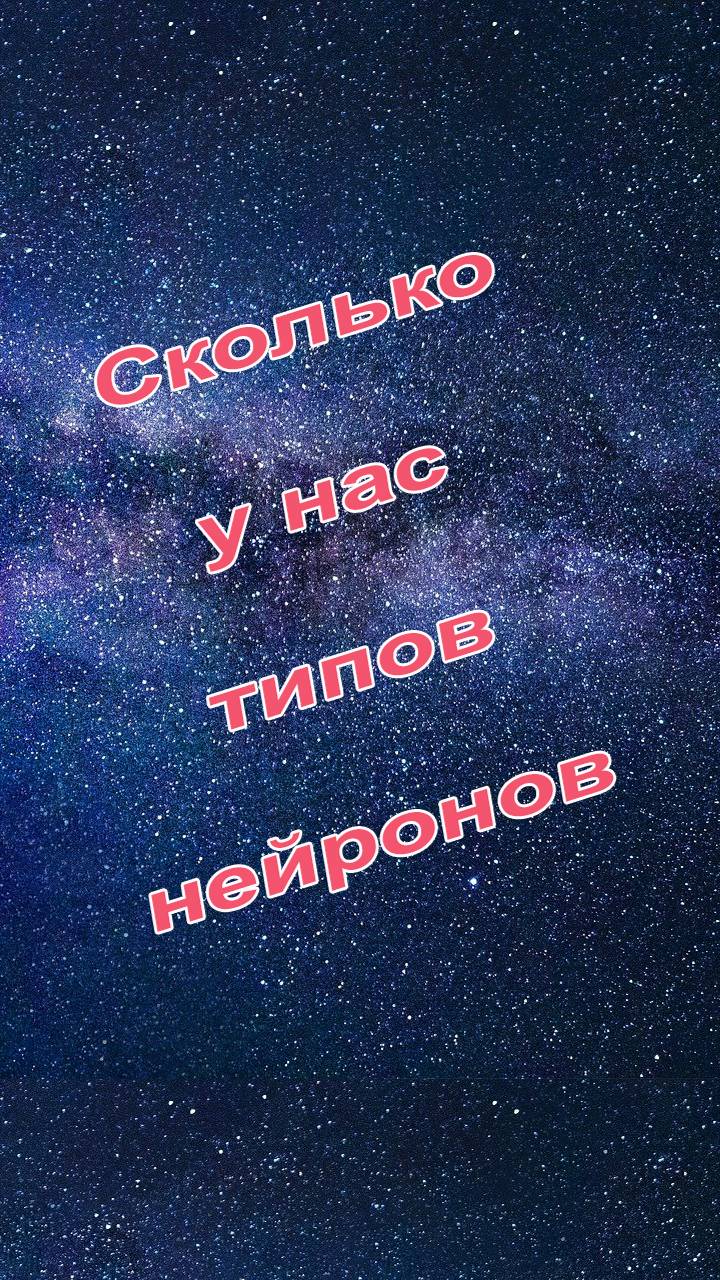 Сколько типов нейронов насчитали ученые