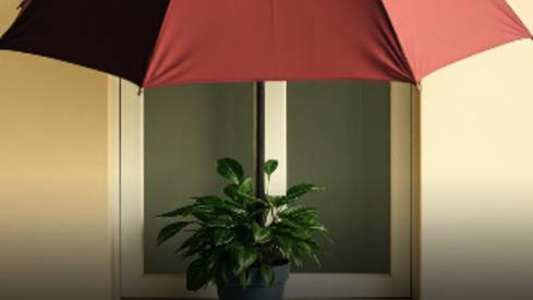 You promised to call