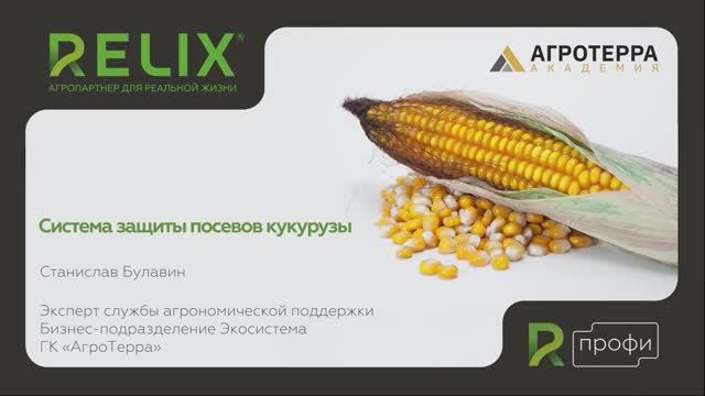 Система защиты посевов кукурузы
