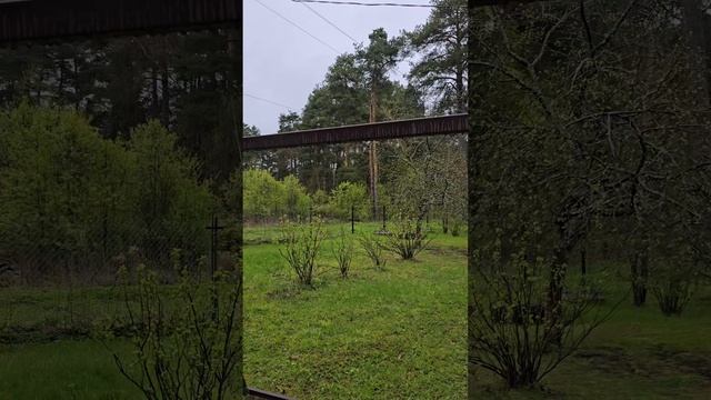 Отдых в Любытино