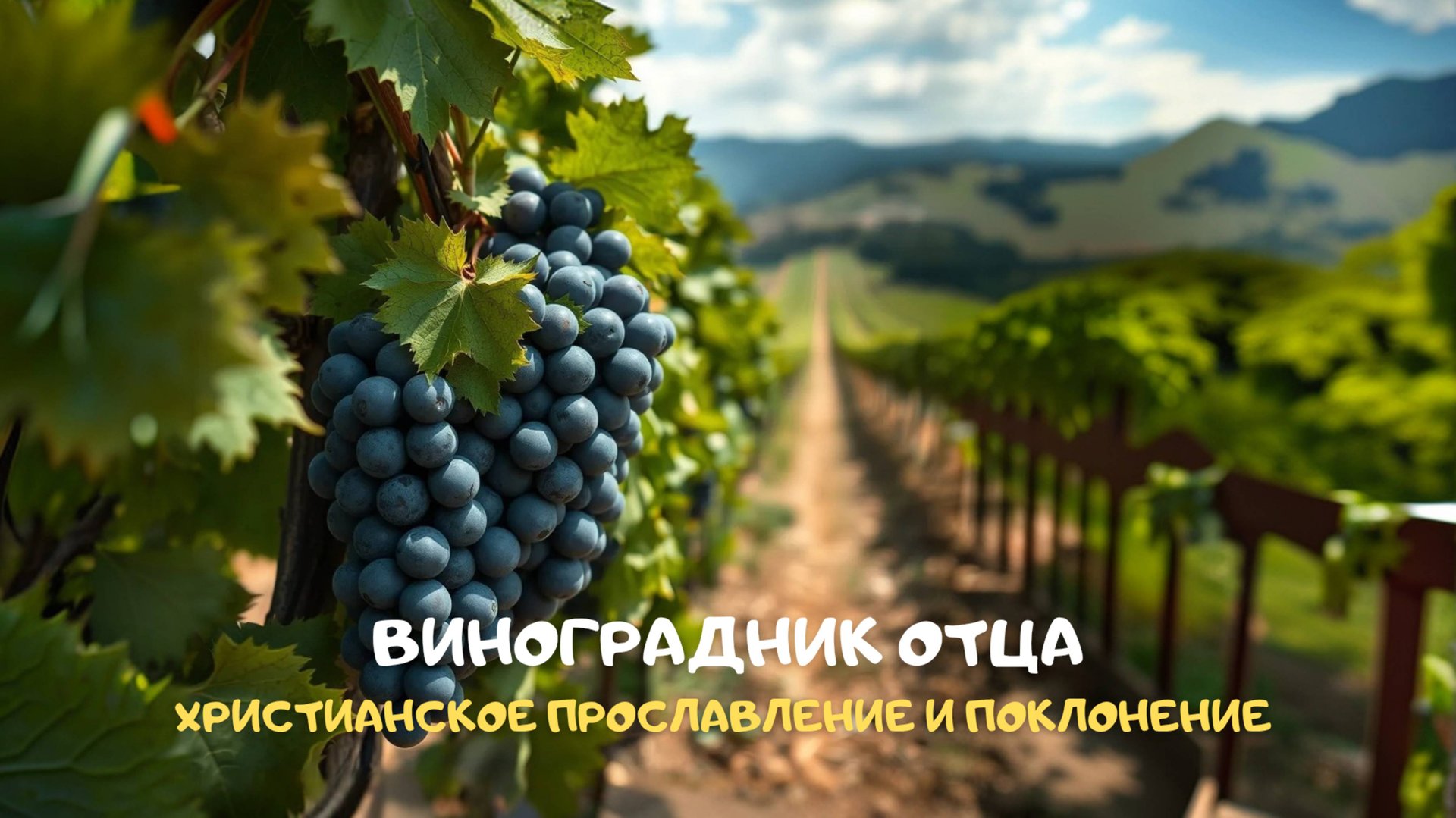 Виноградника Отца. Христианское прославление и поклонение