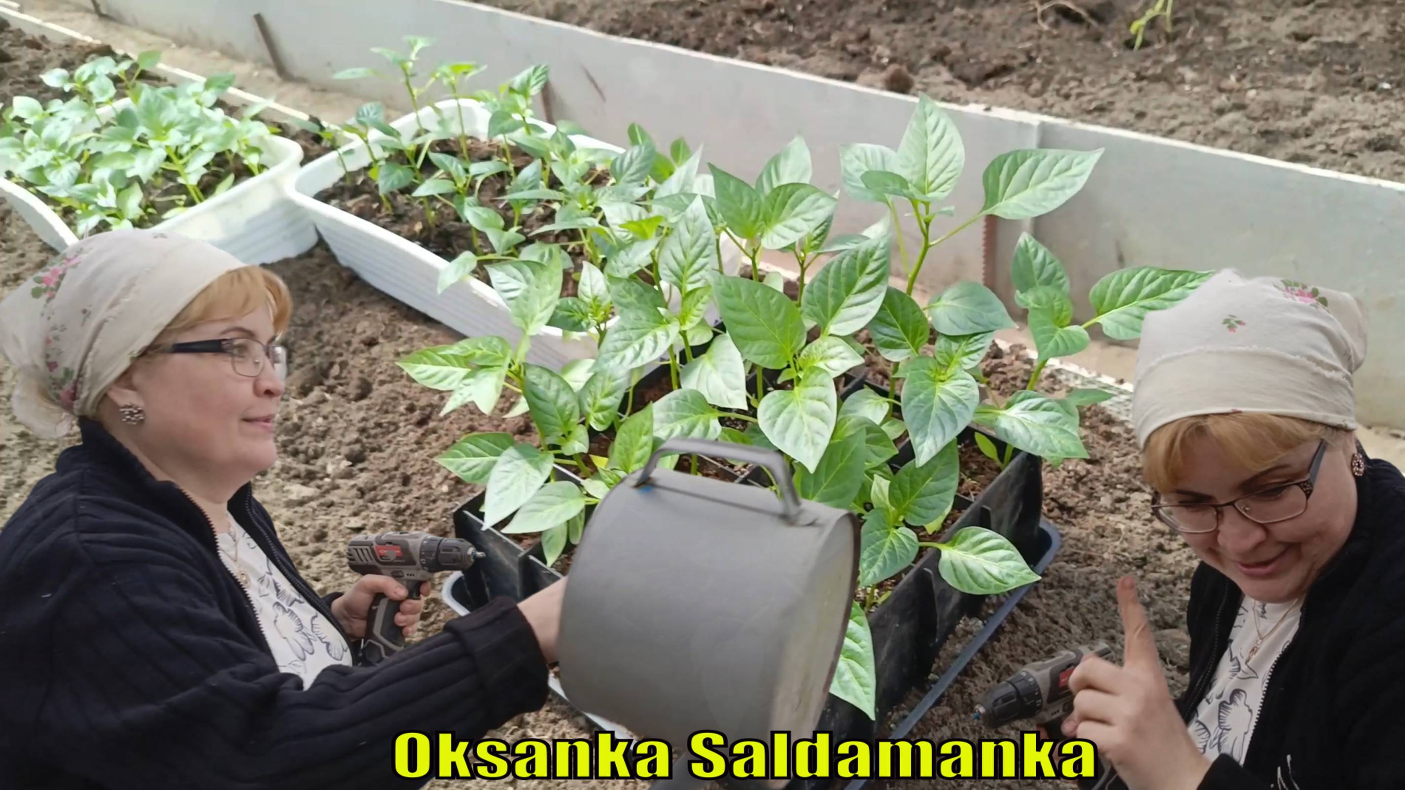 ОГОРОДНЫЕ ДЕЛА ПРОДОЛЖАЮТСЯ