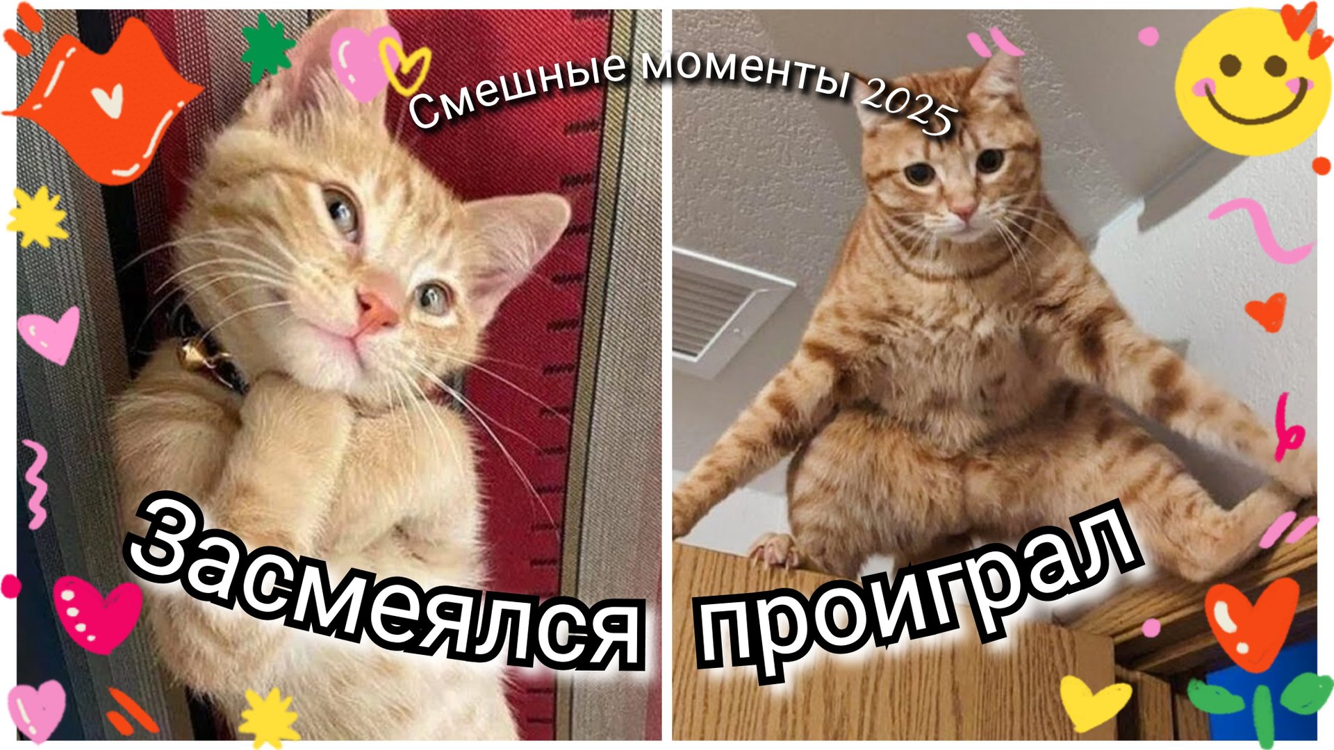 Смешные видео | замеялся - проиграл | приколы 2025 #15