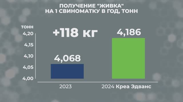 КРЕА ЭДВАНС — надёжная защита от теплового стресса у свиней