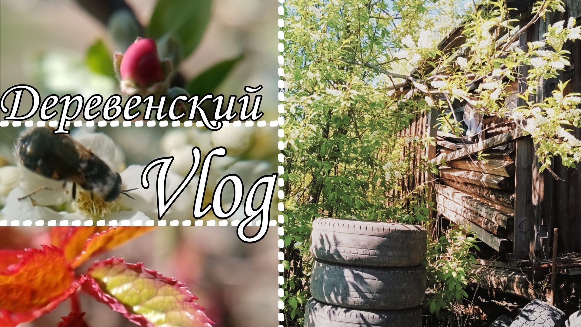 Vlog: Деревенский || Продолжаем готовиться к посадкам