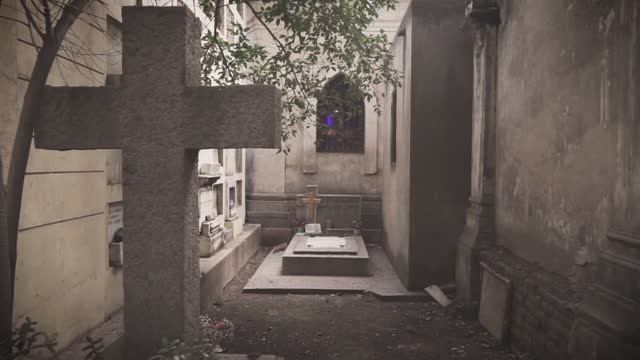 9645674-hd_1920_1080_24fps