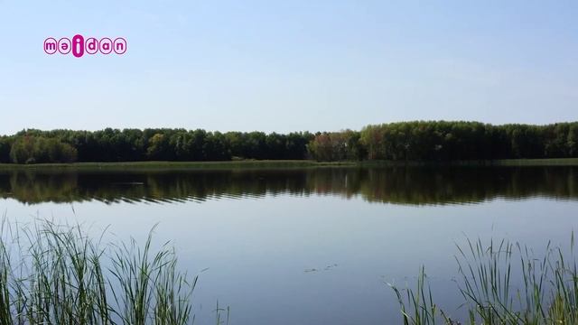 Айнур Моратов, Динә Закирова, Ринат Валеев, Ra5im - Тала,тала