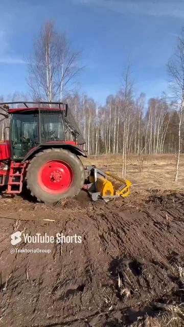 Только ротоватором леса можно превратить в урожай 89261385927 #ротоватор #мтз2022 #farming #трактор