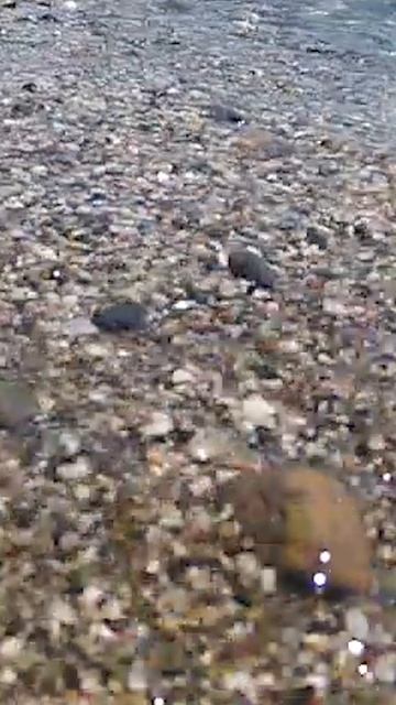 Турция Мармарис Shorts 2 ENG