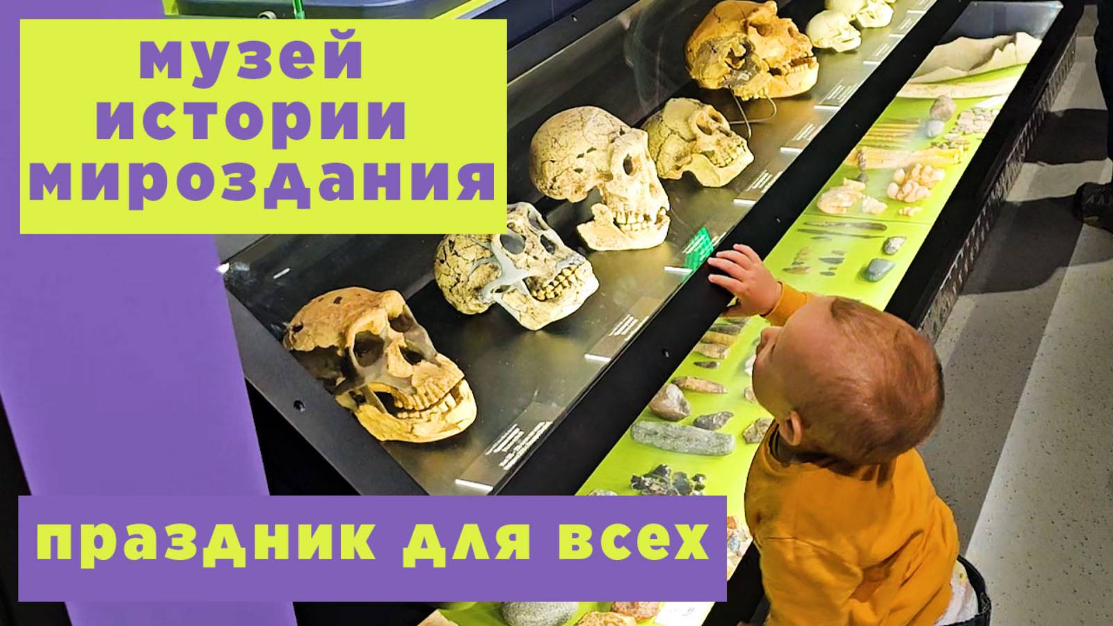 Интерактивный музей естественной истории для детей и взрослых.