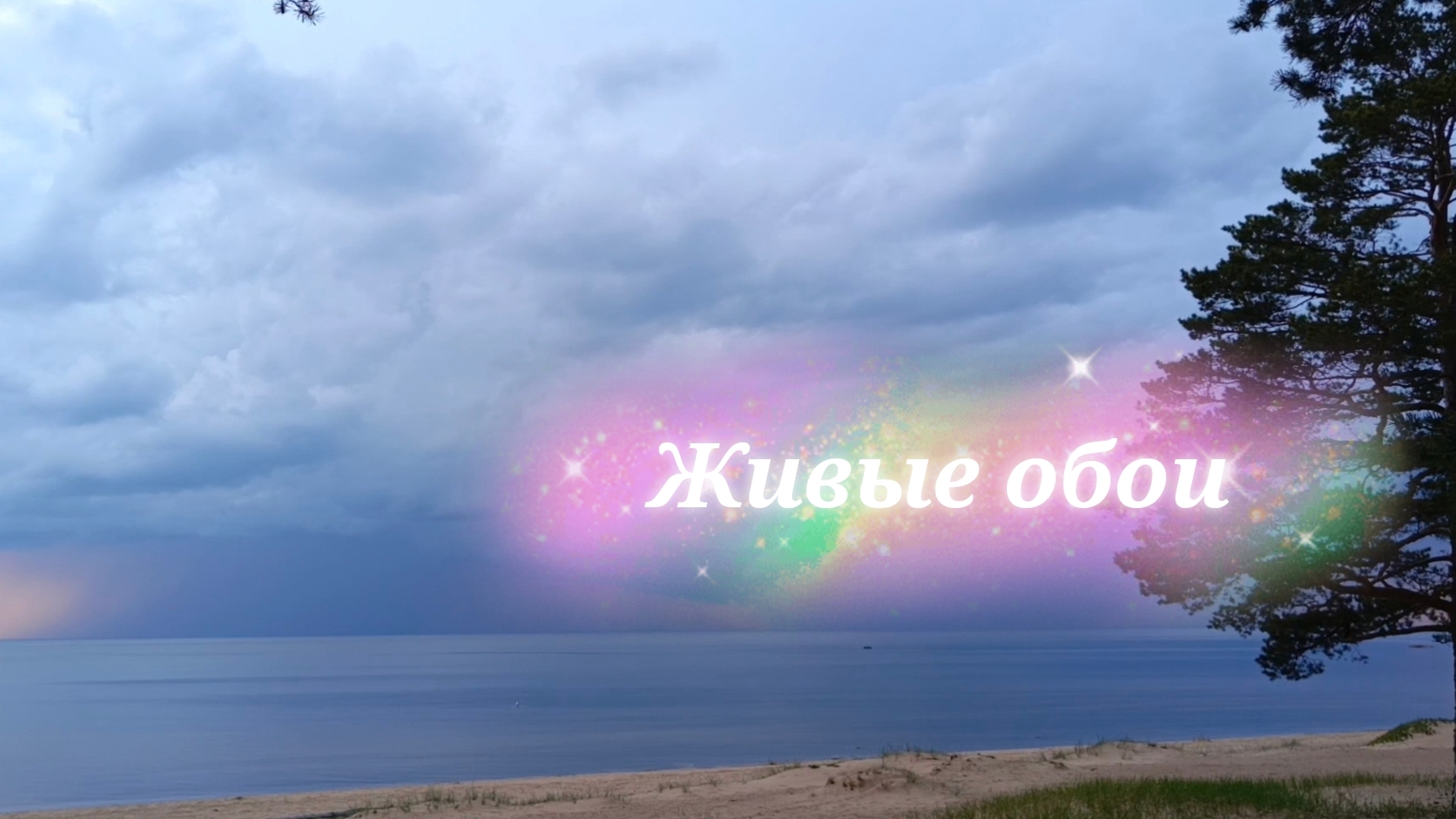 Живые обои, Финский залив, закат, молния