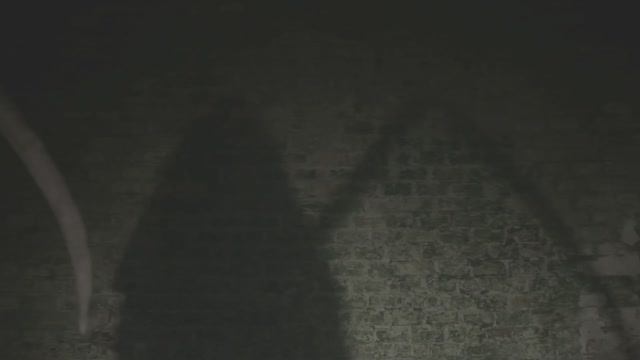 12298877-hd_1920_1080_24fps