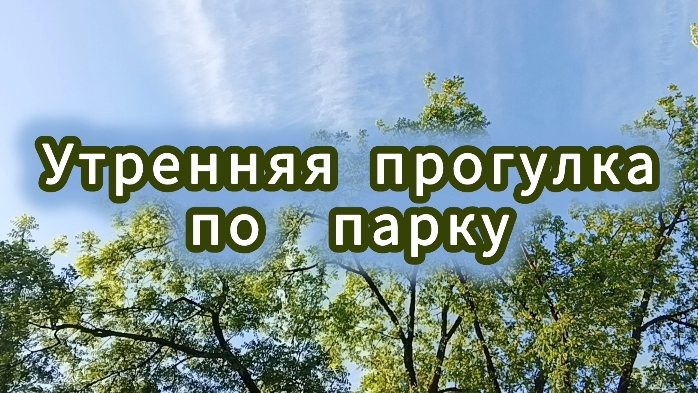 УТРЕННЯЯ ПРОГУЛКА ПО ПАРКУ