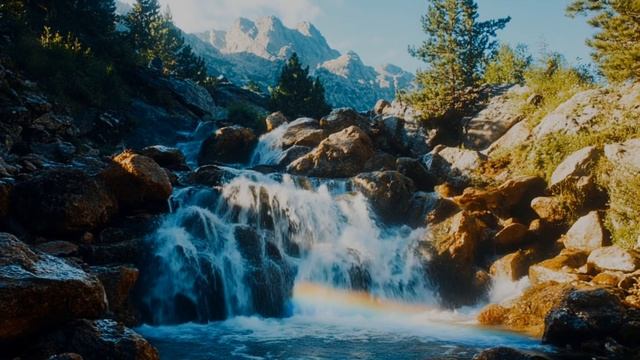 Письмо с передовой