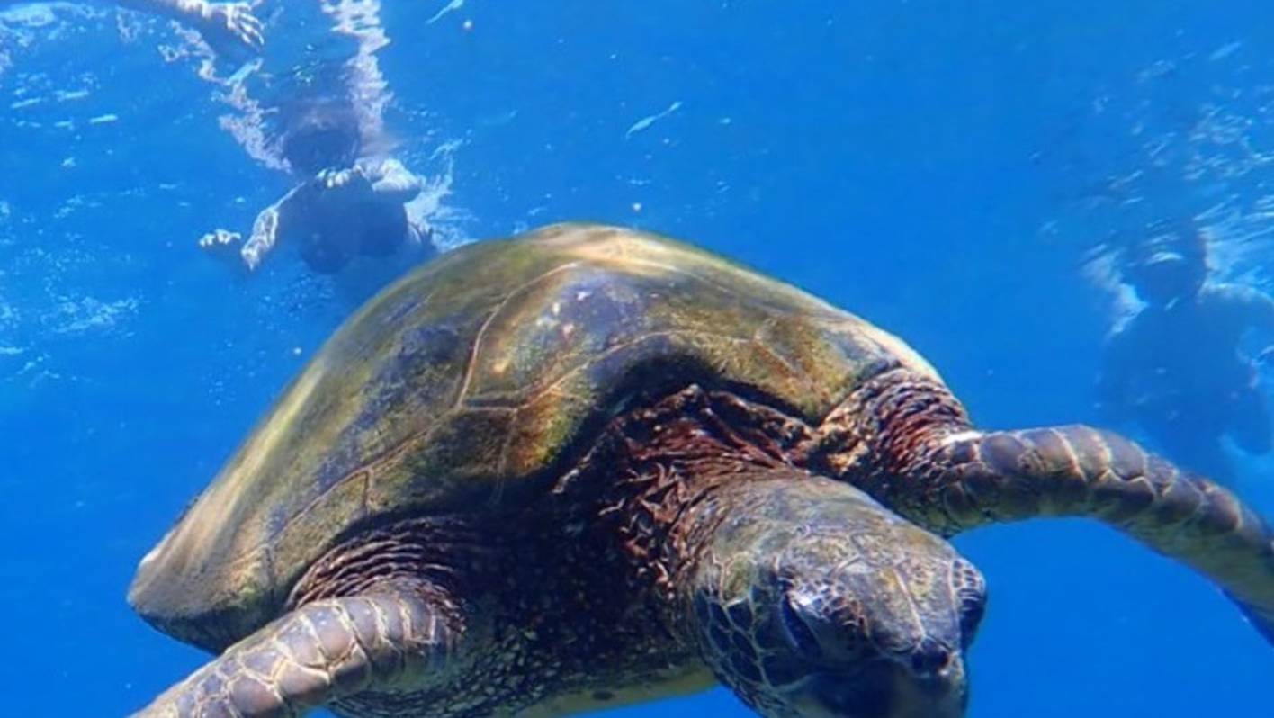 #3_Филиппины 2025. Остров Панглао, поездка на остров Баликасаг.