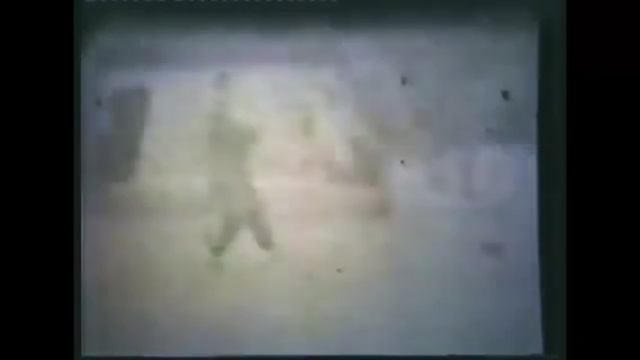 Тайцзицюань стиля У