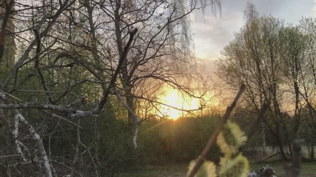 Один на УАЗ Патриот в весеннюю тайгу . Часть 2 -Дорога к заброшенному Храму