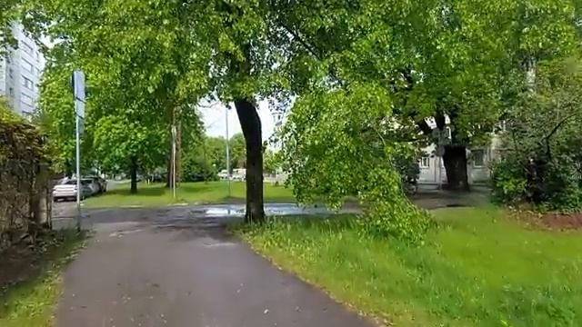 Влог про сны, прогулки под дождем и покупки. Рената Смирнова. 2925