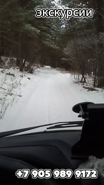 Красивейшая зимняя дорога на Башиль. Прекрасный зимний лес. Экскурсии Пятигорск. Джип туры.