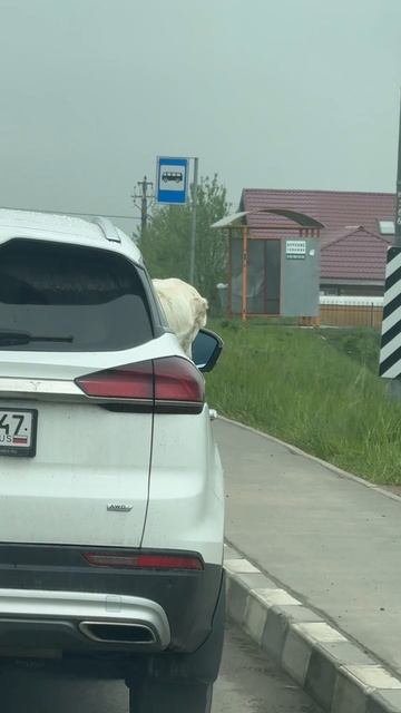 Монтаж септика